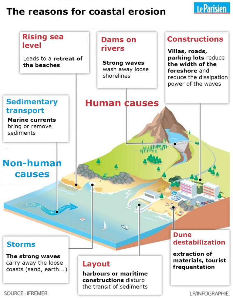 Coastal erosion - The Searial Cleaners