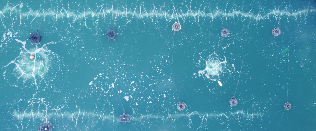 InvisiBubble | Bubble barrier | The Searial Cleaners