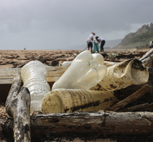 Impact Program | PERFORMANCE | The Searial Cleaners